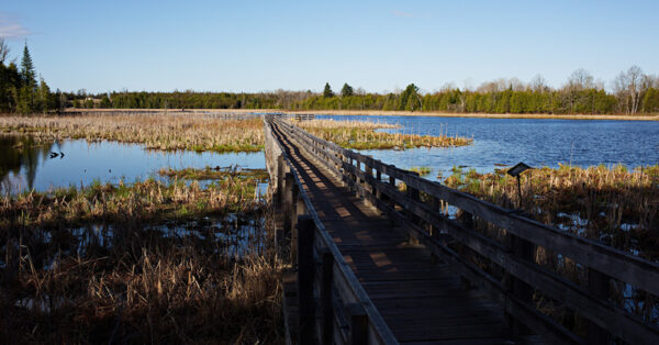 Why Ontario’s Conservation Authority Reform Must Keep Engineering at ...